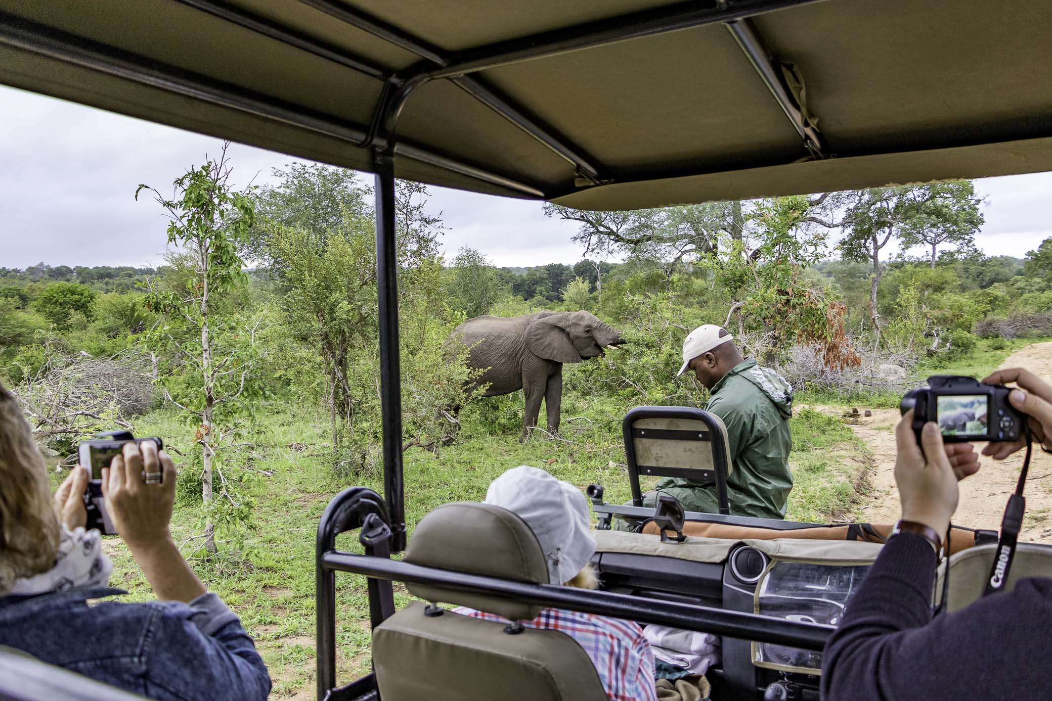 Activities & Things to Do - Royal Bakoena Lodge